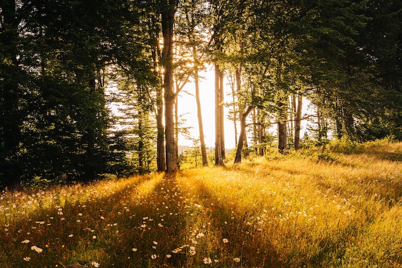 anton darius thesollers 306223 unsplash 800X | Alexandra Ruhl